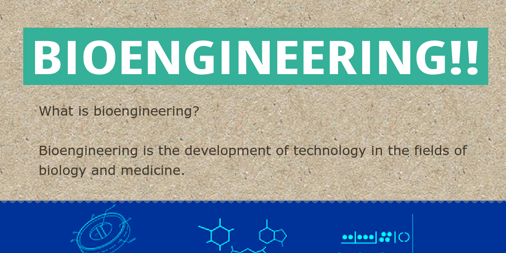 Bioengineering!! by summerisacat90 - Infogram